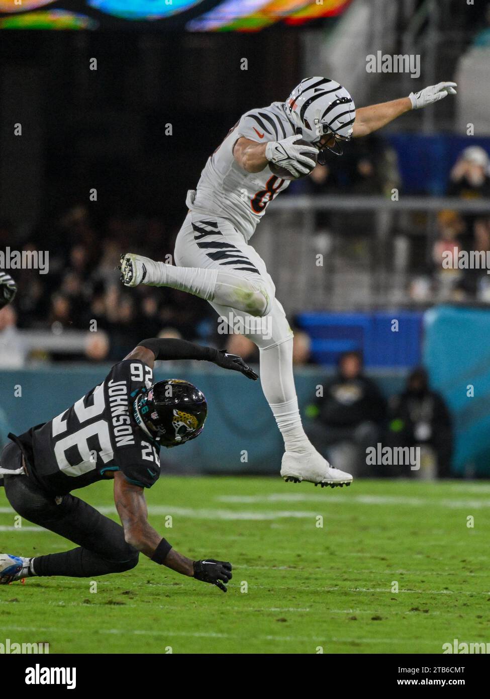 Jacksonville, FL, USA. 4th Dec, 2023. Cincinnati Bengals tight end ...