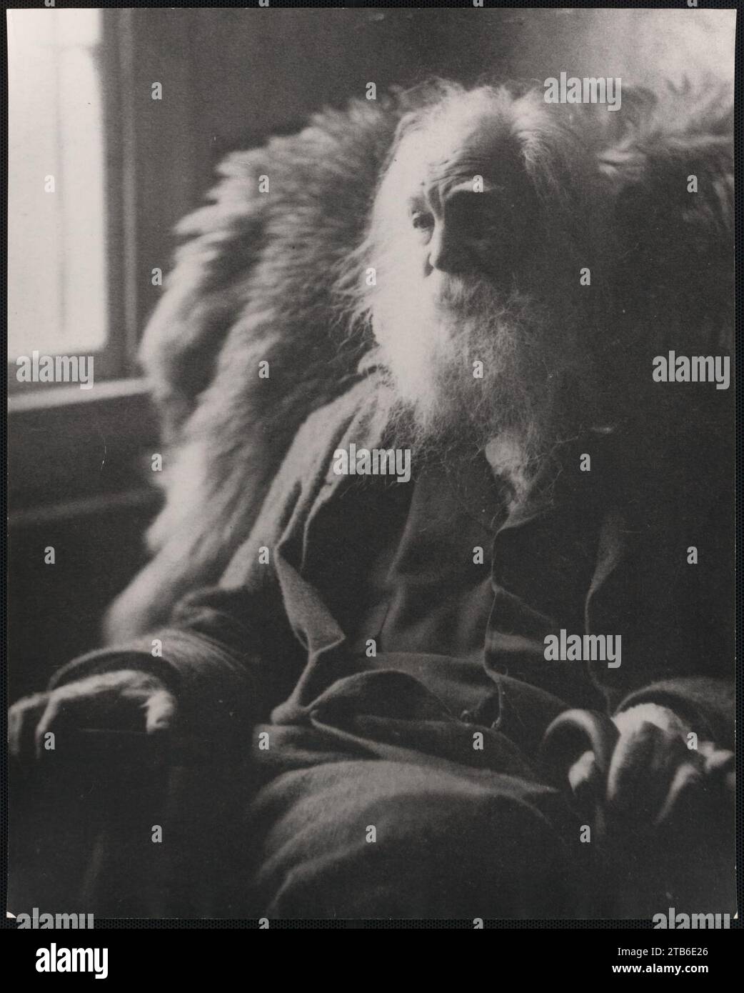 Walt Whitman, half-length portrait, seated by window, facing left Stock ...