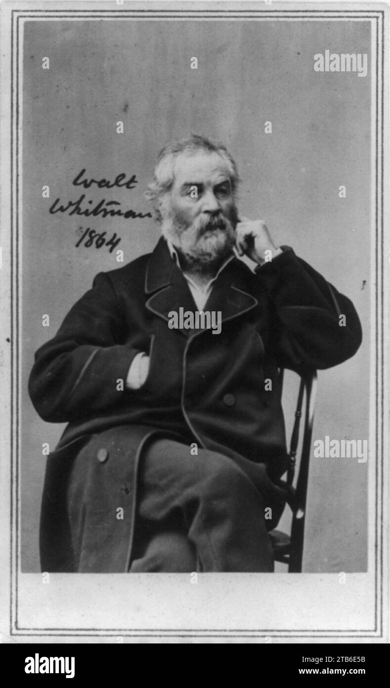 Walt Whitman, three-quarter length portrait, seated, facing slightly ...