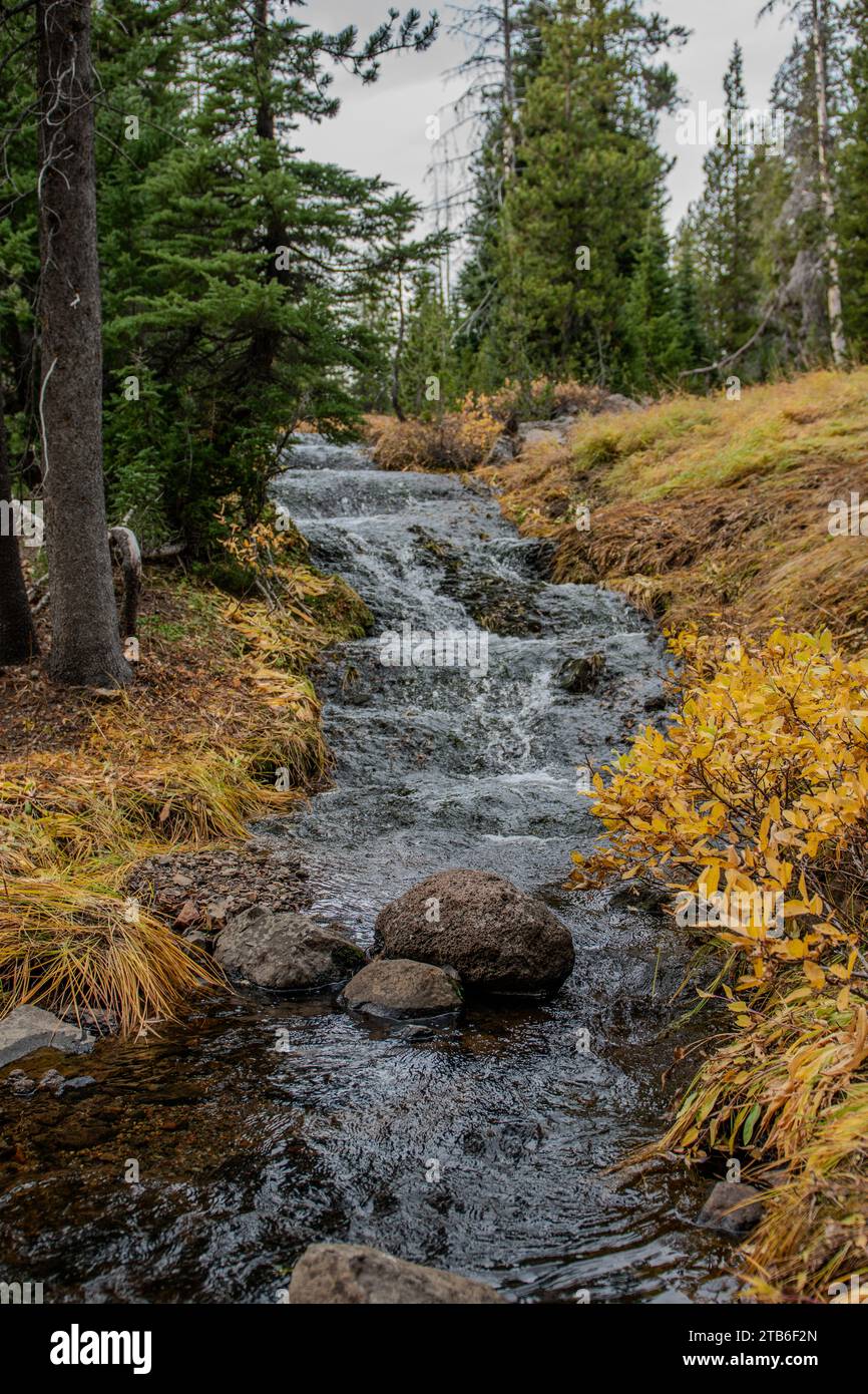 Fall stream in the Deschutes National Forest Stock Photo - Alamy
