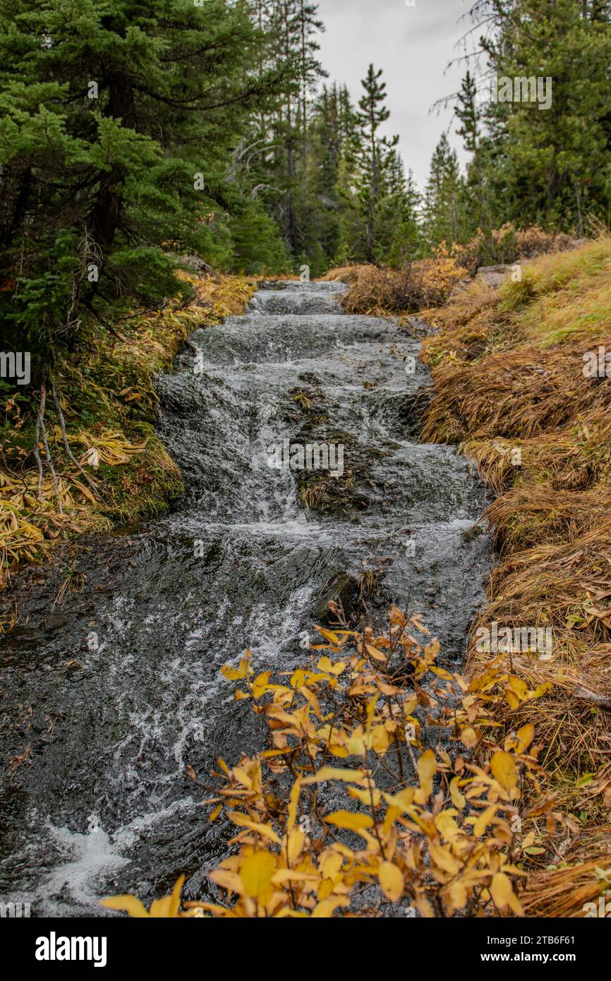 Fall stream in the Deschutes National Forest Stock Photo - Alamy