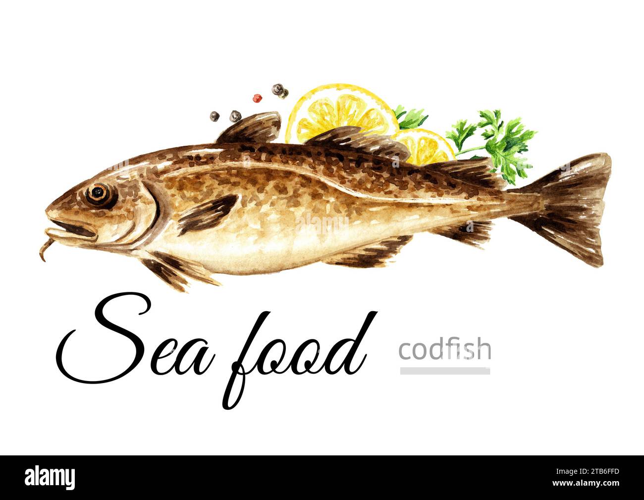 Fresh fish cod, seafood. Hand drawn watercolor illustration, isolated ...
