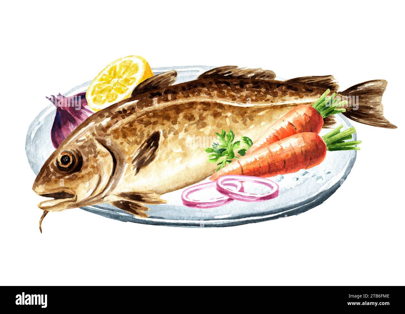Fresh fish cod. Hand drawn watercolor illustration, isolated on white ...