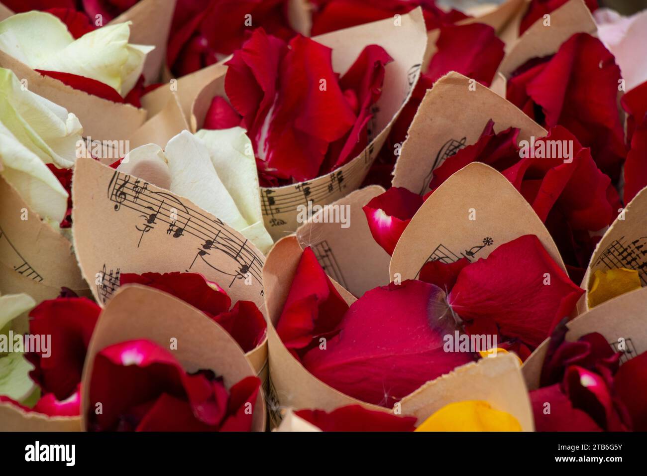 Rose leaves for wedding bug Stock Photo - Alamy