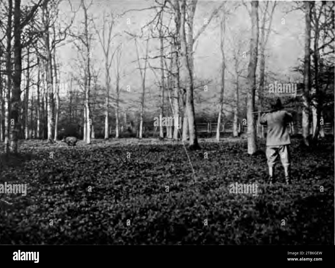 Winans walter w hi-res stock photography and images - Alamy