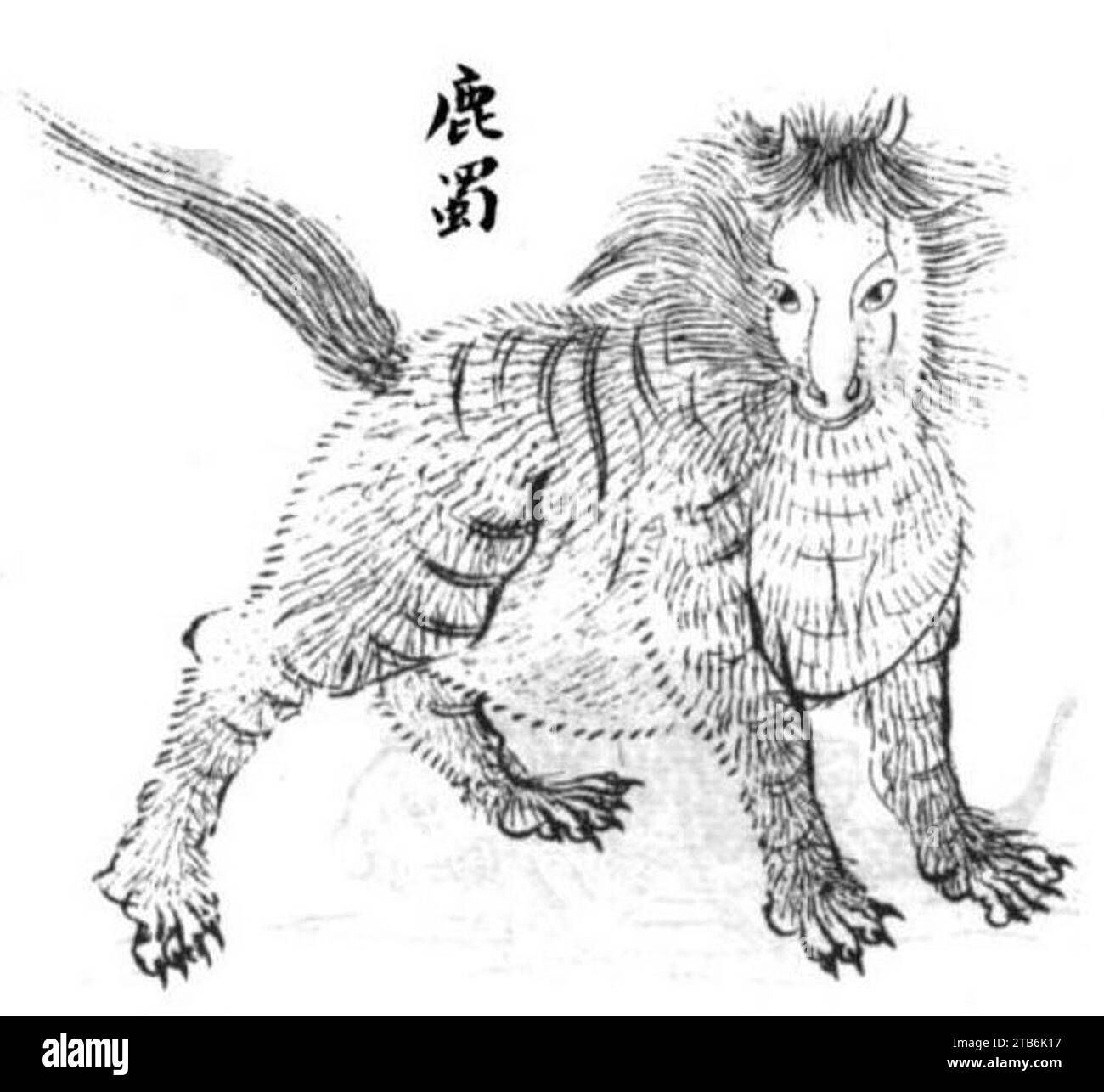 Wang fu Black and White Stock Photos & Images - Alamy