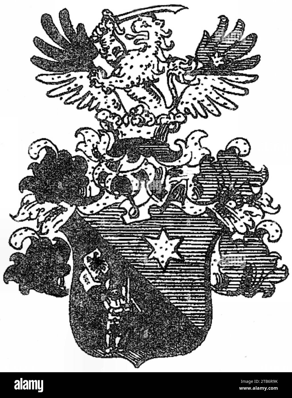 Wappen Rukavina von Morgenstern 1845 Stock Photo - Alamy