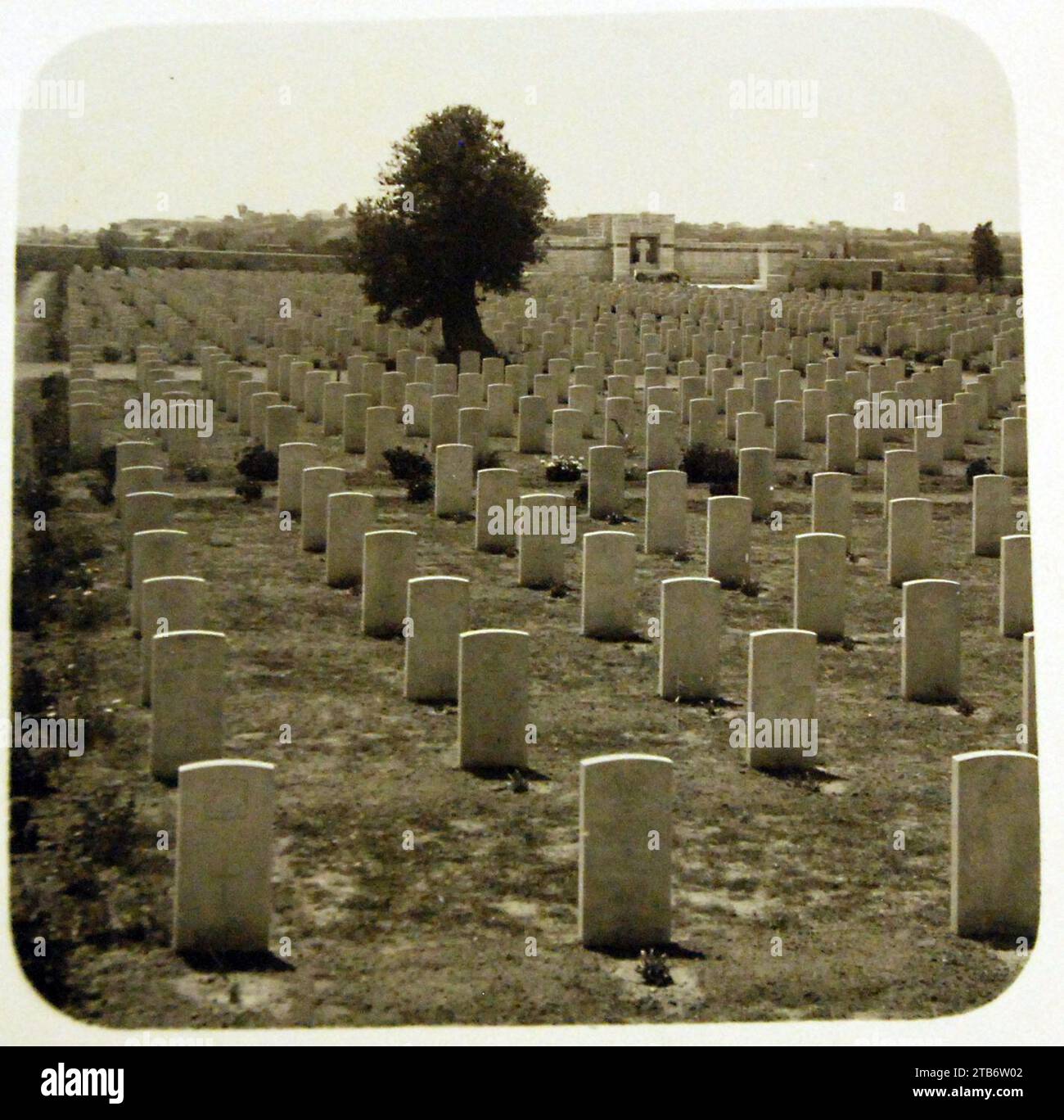 War Cemetery at Gaza, Palestine, 1917, WWI (29797387201 Stock Photo - Alamy