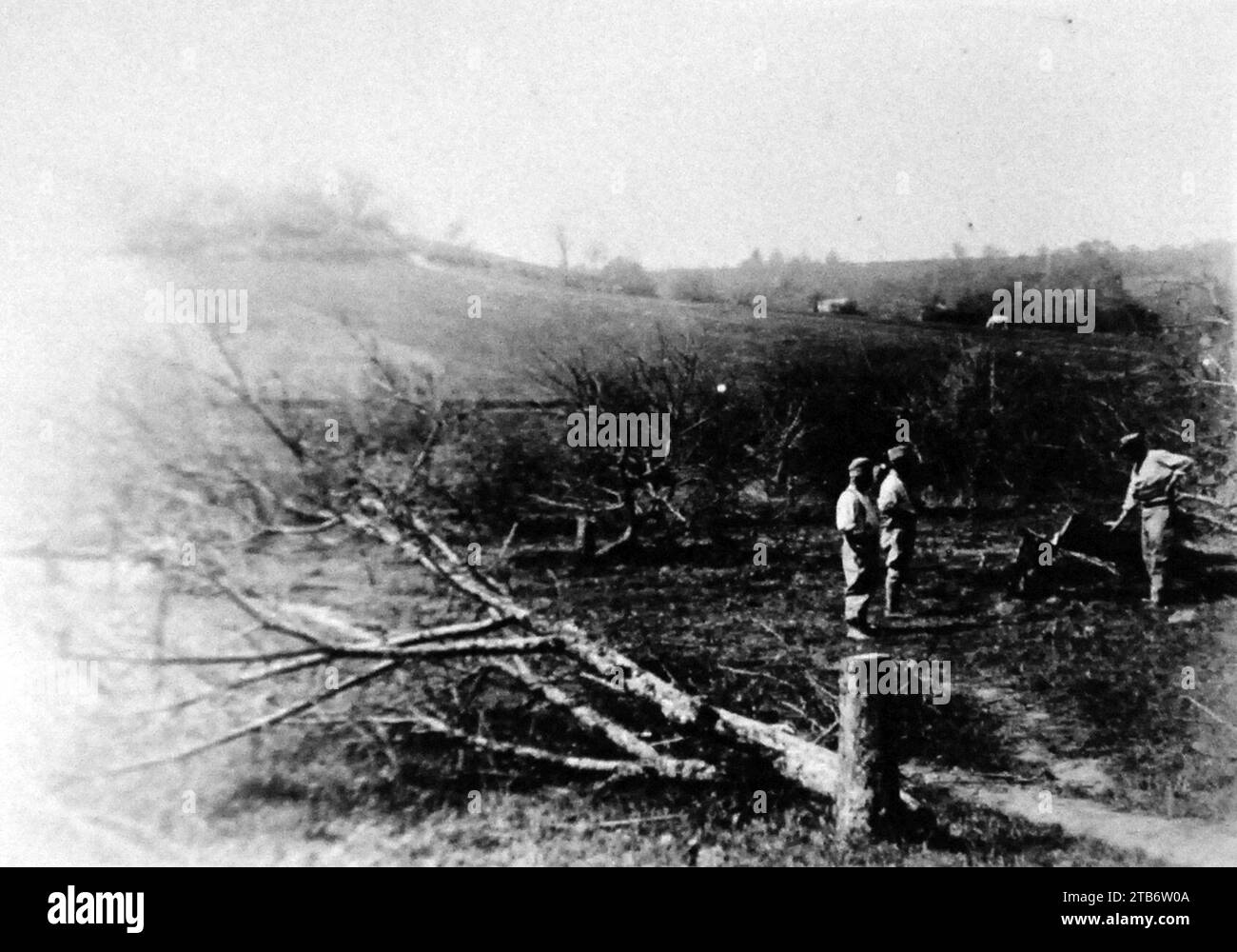 War damage, showing knocked down trees, somewhere in France during ...