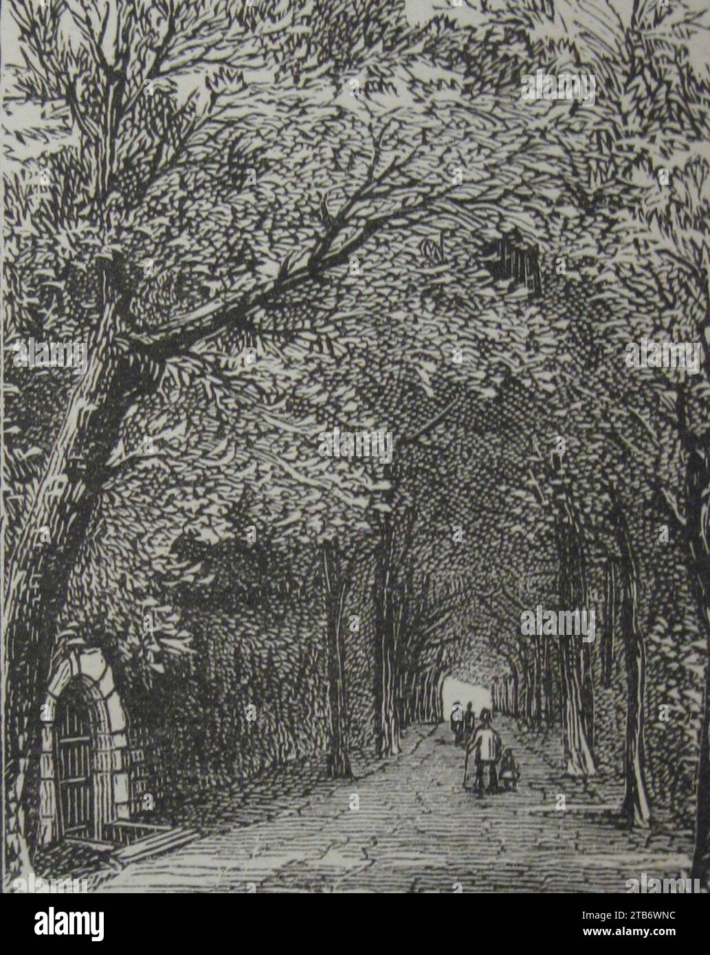 Ward Lock's Illustrated Guide to, and Popular History of the Channel ...