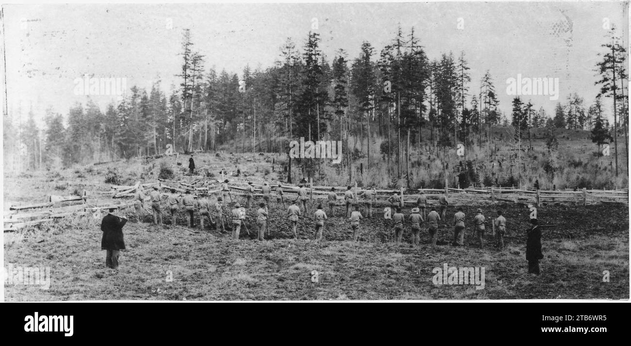 Warden and staff supervising inmates who are learing land Stock Photo ...