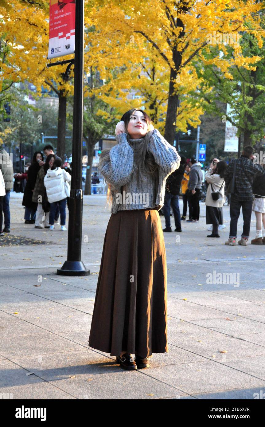 People enjoy golden ginkgo tree leaves at the square in Shanghai, China ...