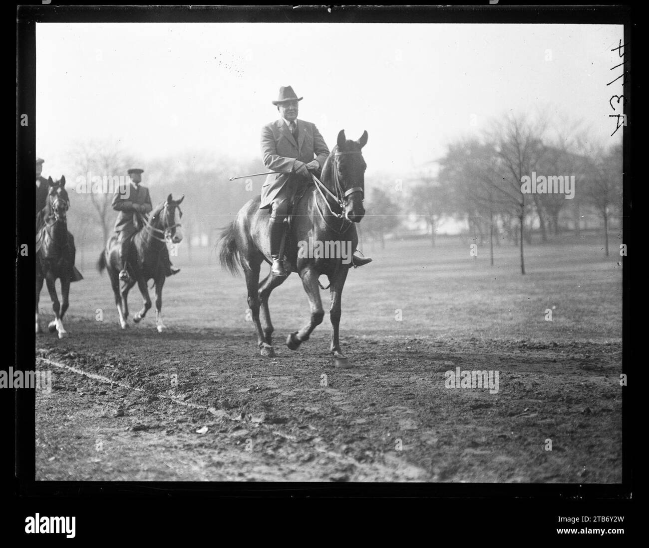 Harding horse hi-res stock photography and images - Alamy