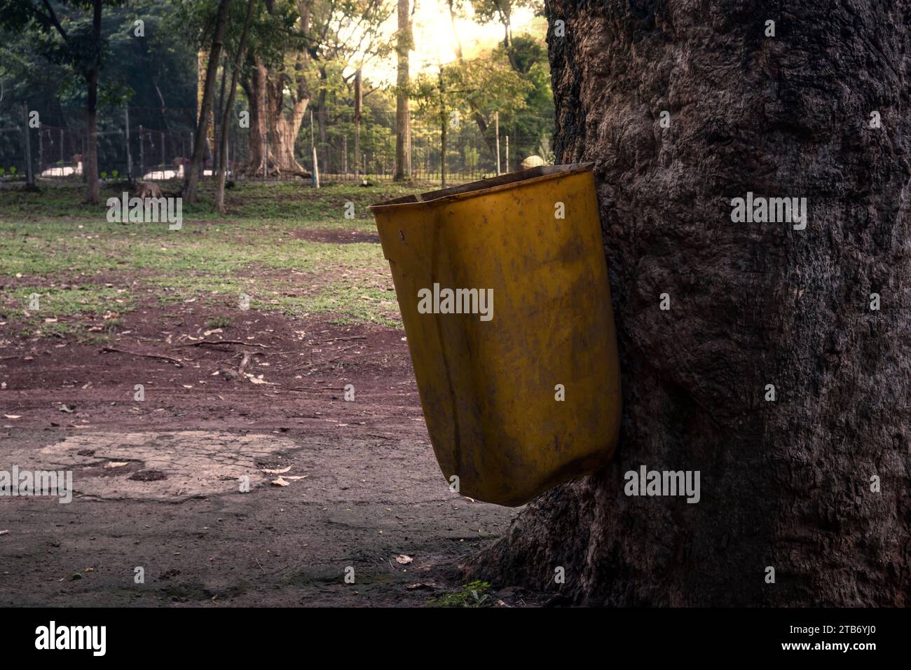 Hanging bin hi-res stock photography and images - Alamy