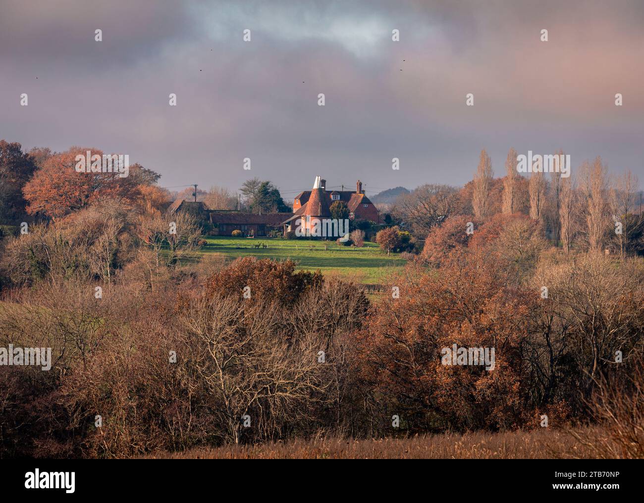High weald countryside near Ashburnham east Sussex south east England ...