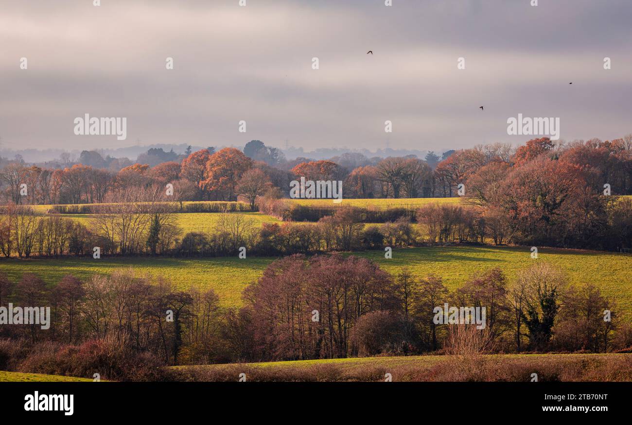 Ashburnham east sussex hi-res stock photography and images - Alamy