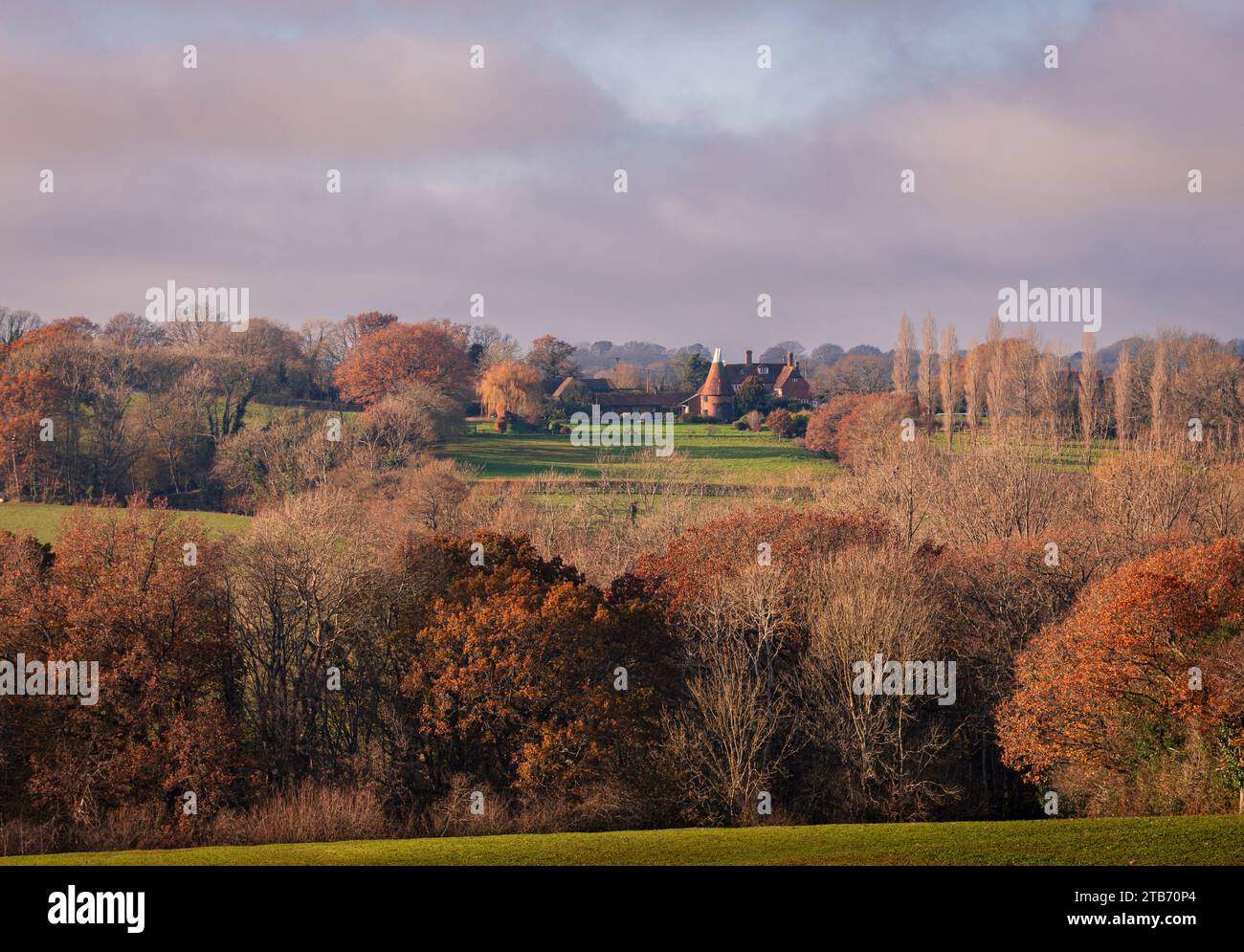 Ashburnham house hi-res stock photography and images - Alamy