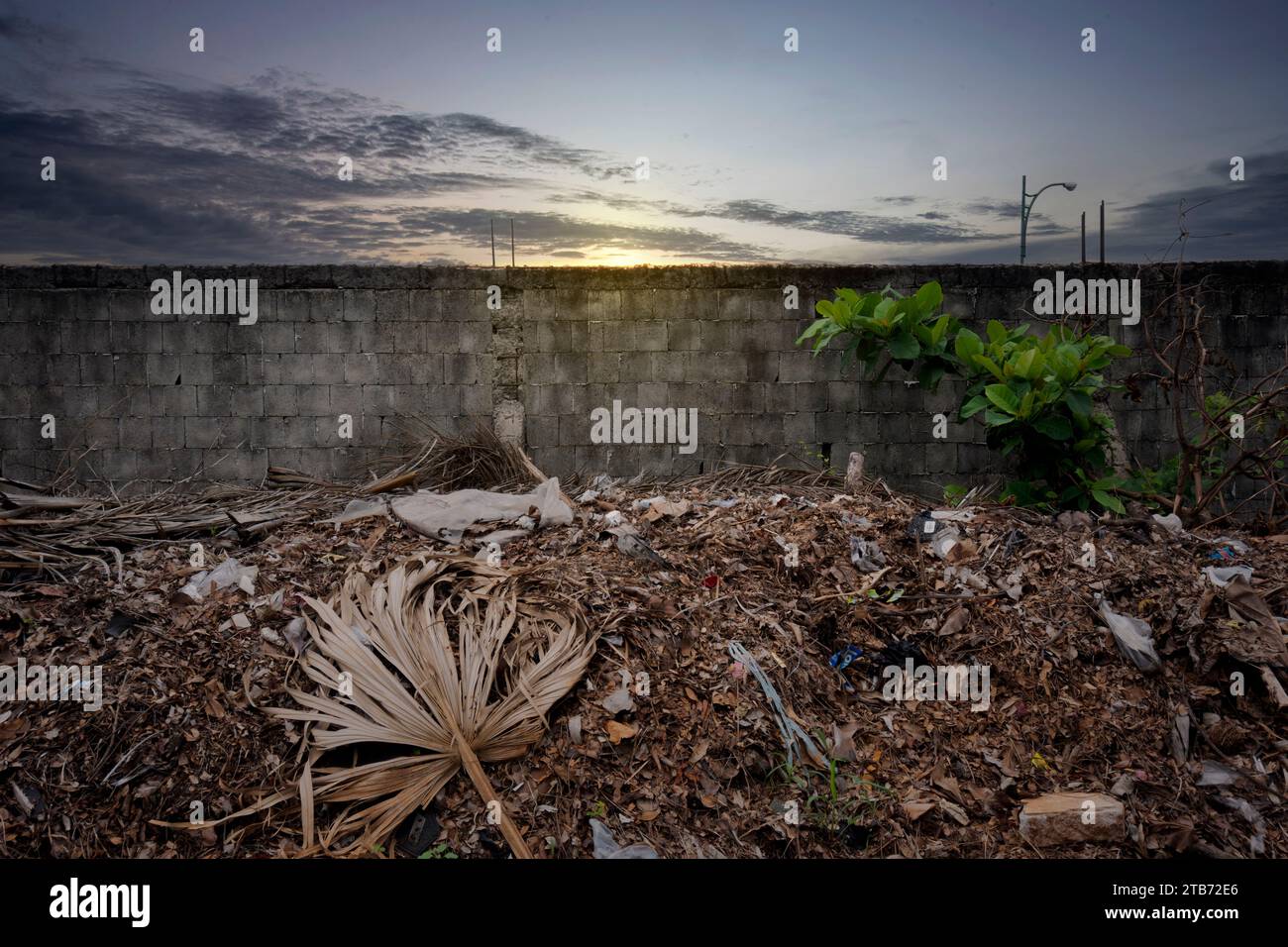 Rubbish on the ground. Illegally throwing garbage Stock Photo - Alamy