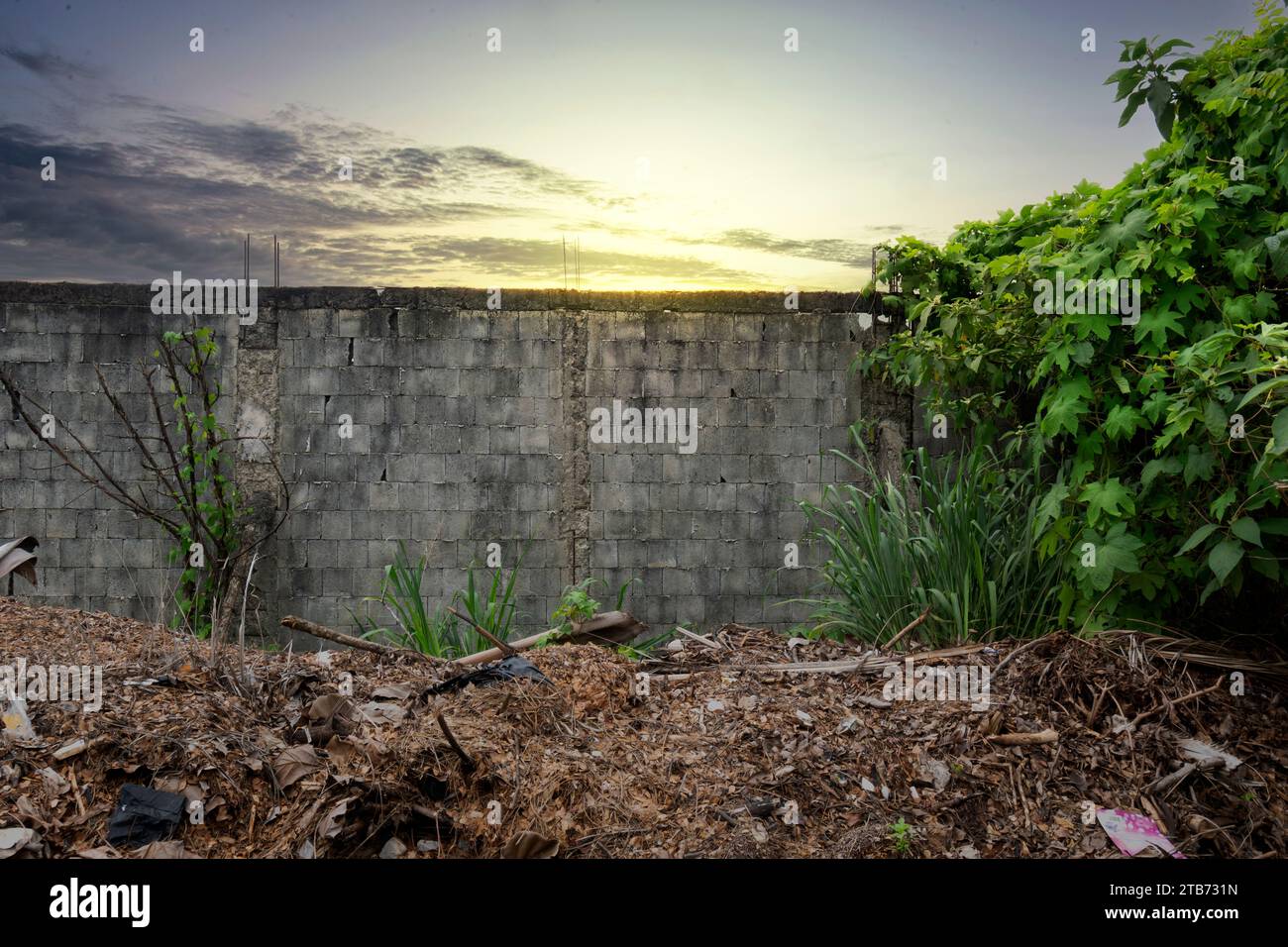 Rubbish on the ground. Illegally throwing garbage Stock Photo - Alamy