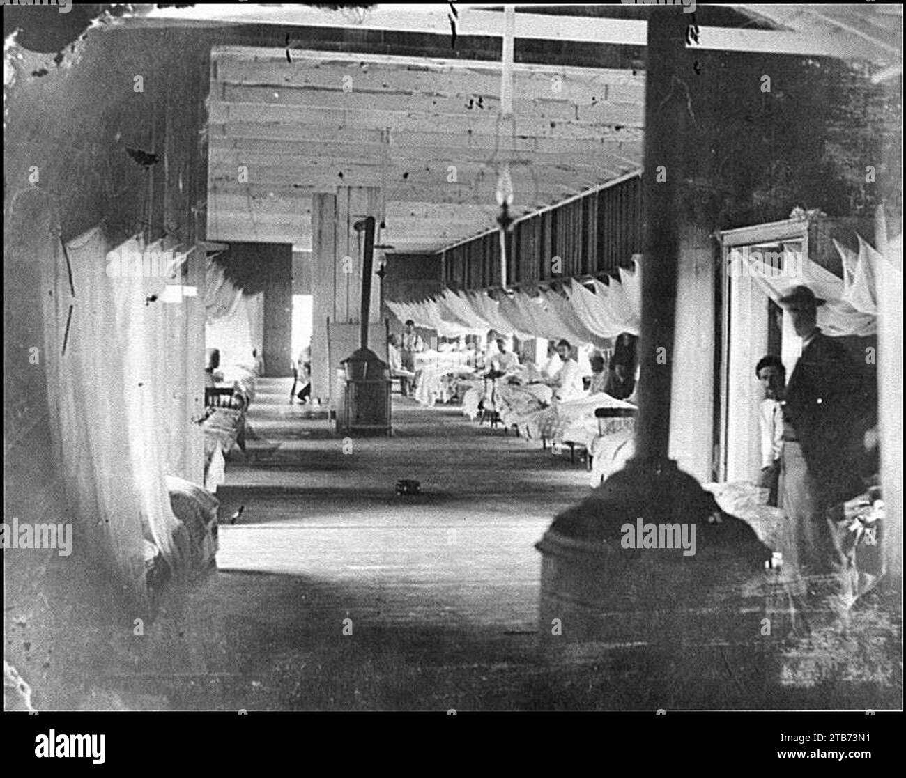 Washington, D.C. Patients in ward of Harewood Hospital; mosquito nets ...