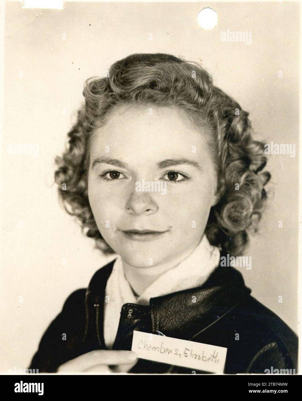 WASP Elizabeth Maxine Chambers Stock Photo - Alamy