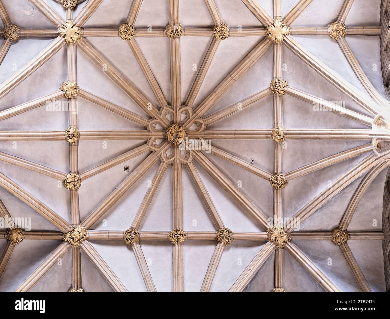 Bosses on the ceiling under the roof of the middle tower at the ...