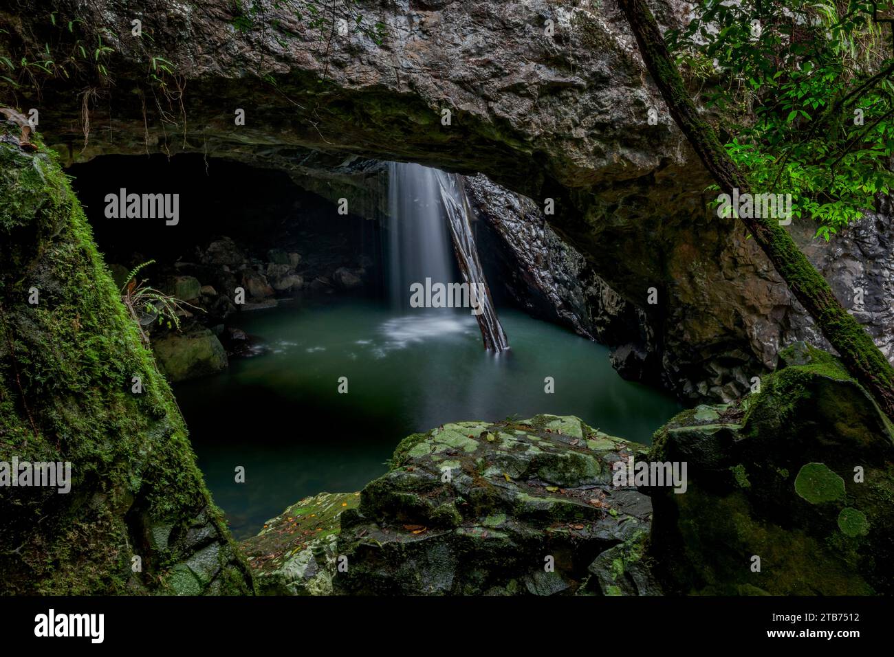 Nsw northern rivers murwillumbah hi-res stock photography and images ...