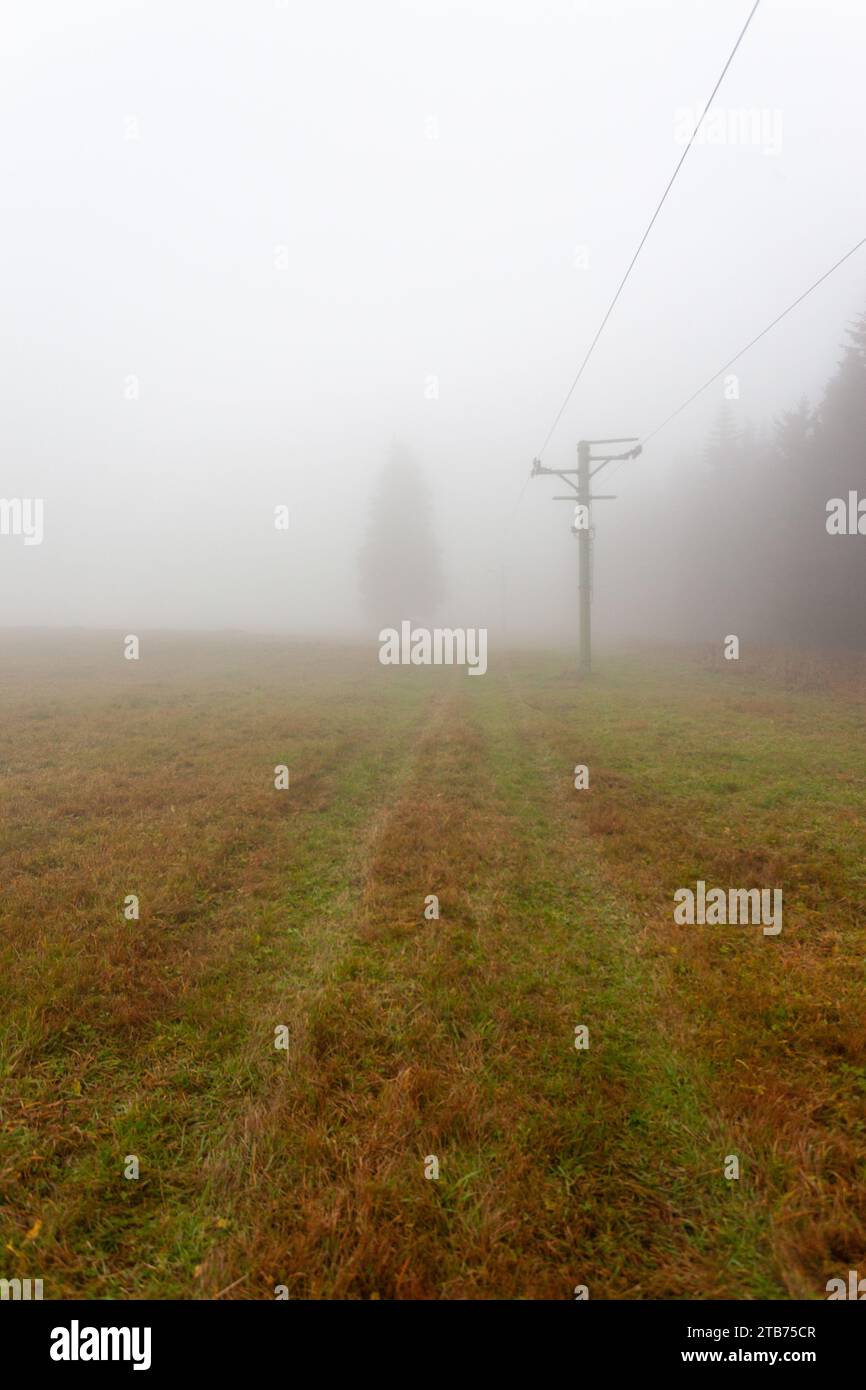 The mist obscures the view, a ski lift and a resinous tree are visible ...