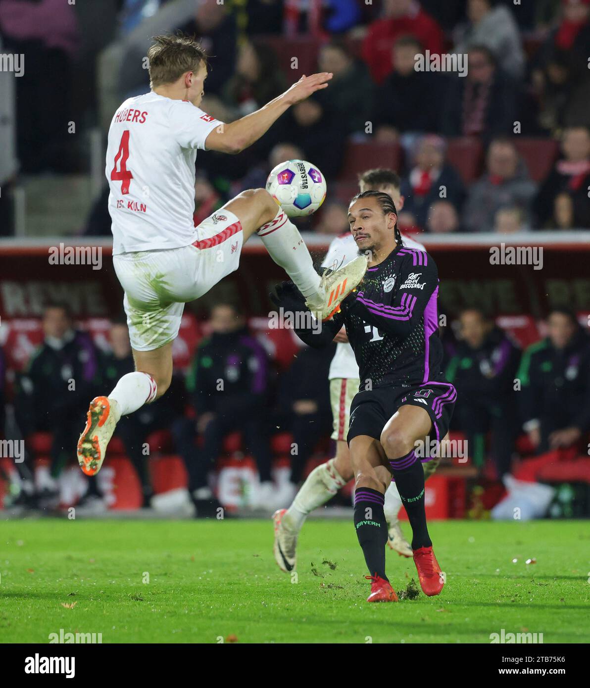 Cologne, Deutschland. 24th Nov, 2023. firo: November 24th, 2023 ...