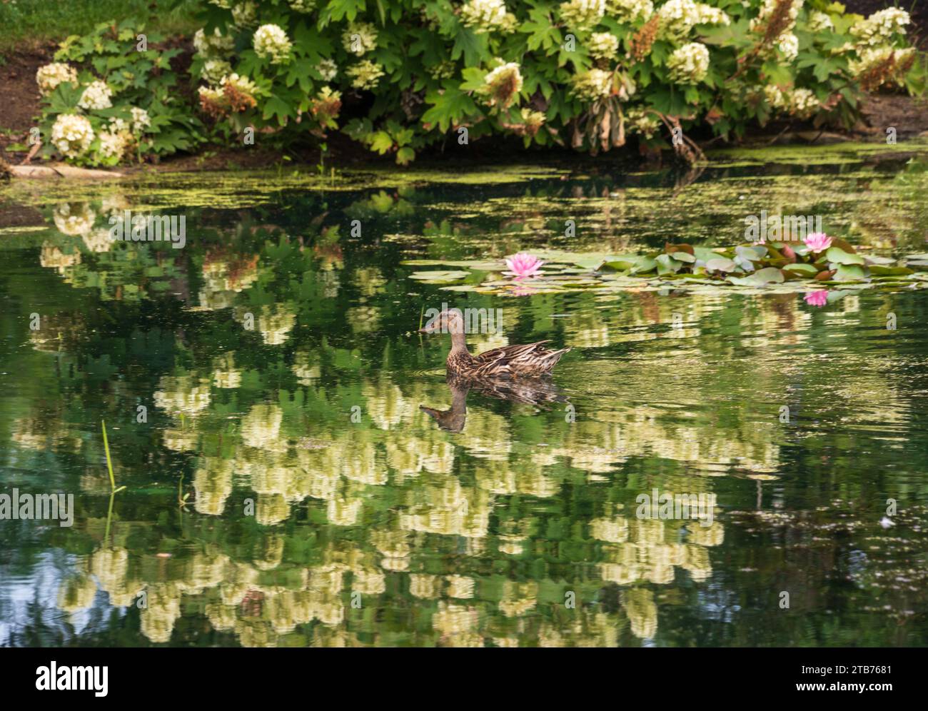 The Topiary Garden (Deaf School Park) in Columbus Ohio Stock Photo - Alamy