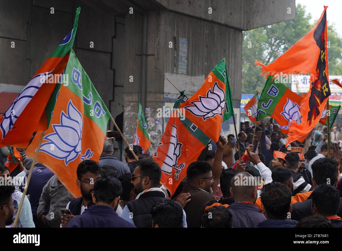 BJP workers are celebrating the party's win in the Rajasthan Assembly ...
