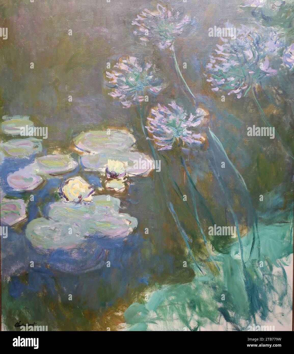 Water Lilies and Agapanthus by Claude Monet Stock Photo - Alamy