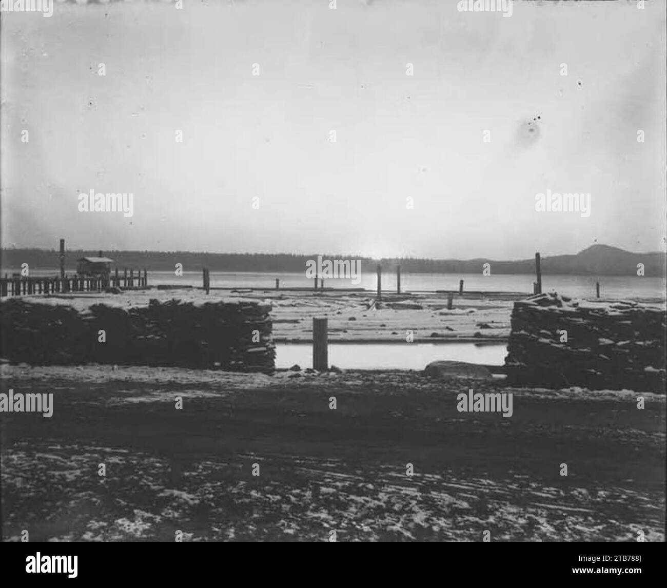Waterfront view of floating logs, probably Nome, Alaska, probably 1900 ...