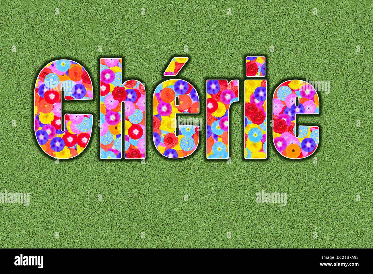 french word Cherie written with colorful flowers, graphic design Stock ...