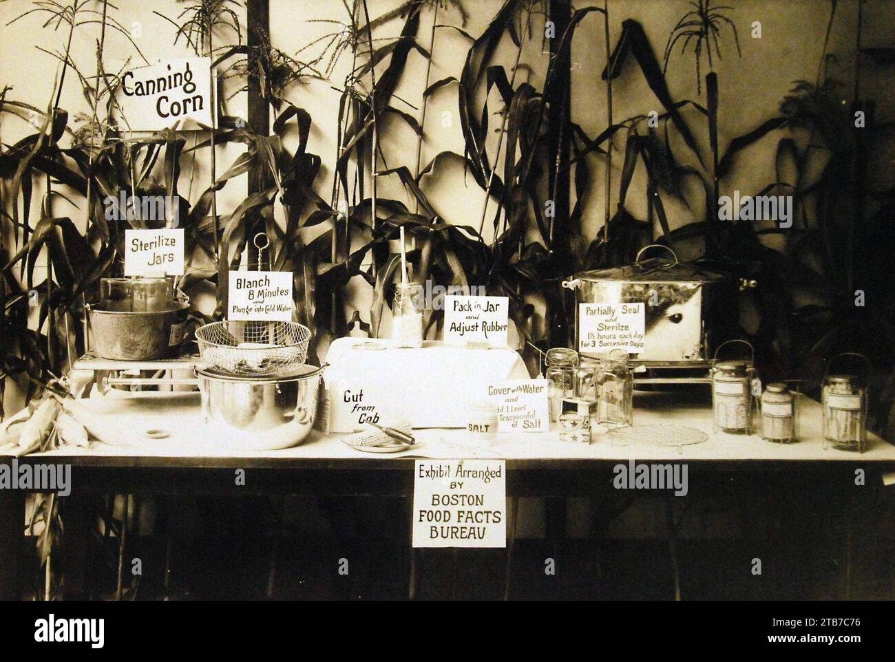 Ways to conserve corn, U.S. Food Administration, food conservation, WWI ...