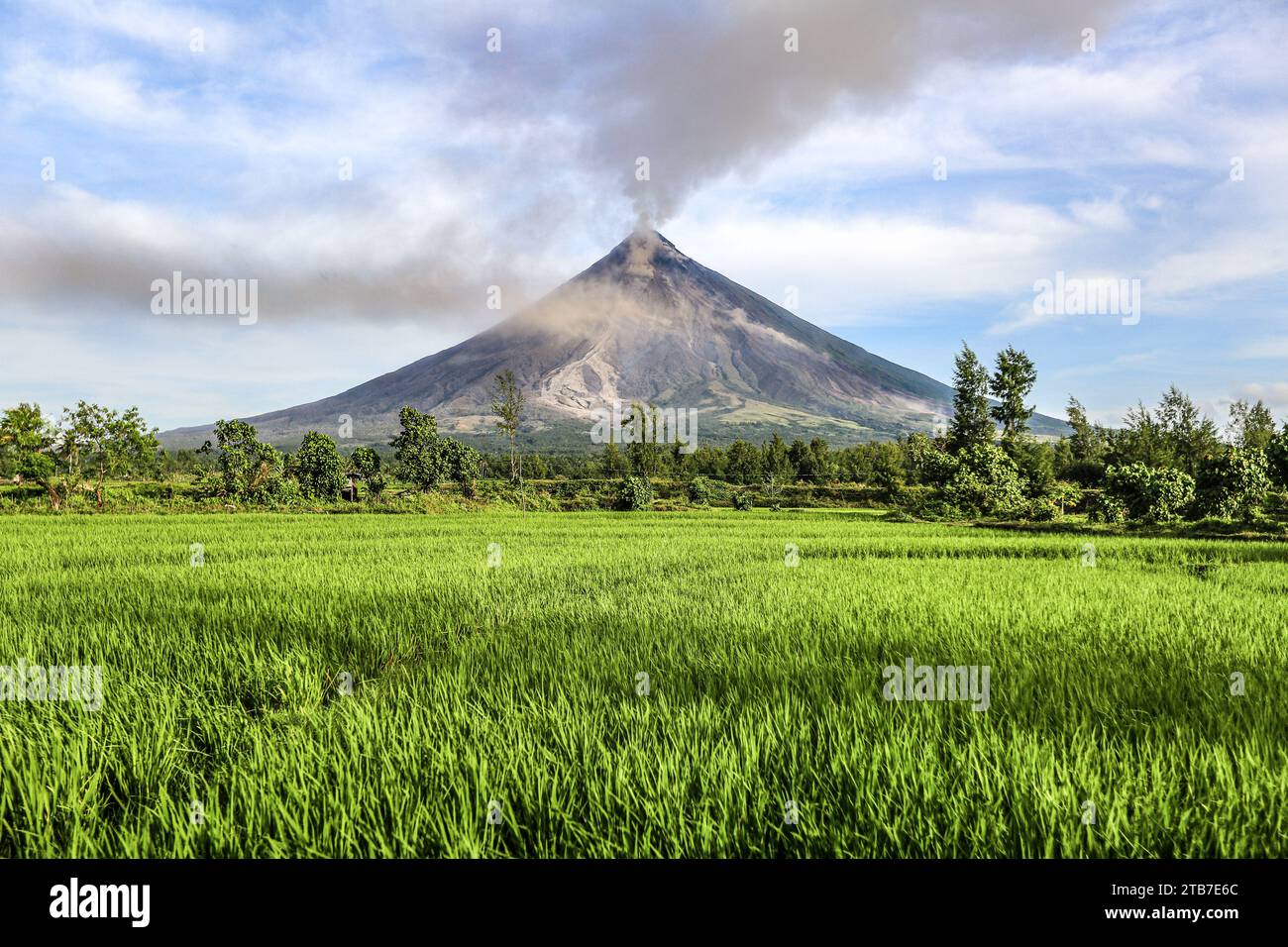 Mayon volcano eruption and smoke, rice fields, Legazpi, Bicol ...