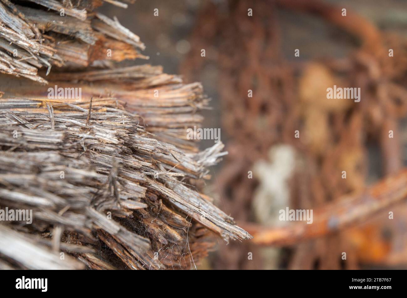 Salvaged wood pile hi-res stock photography and images - Alamy