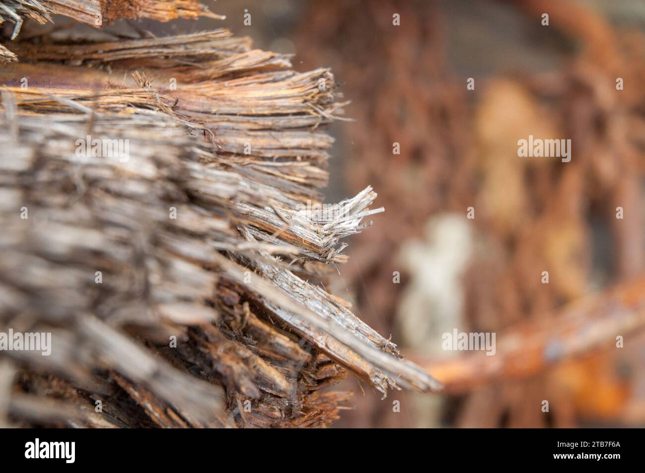 Close up studies of splintered wood Stock Photo - Alamy