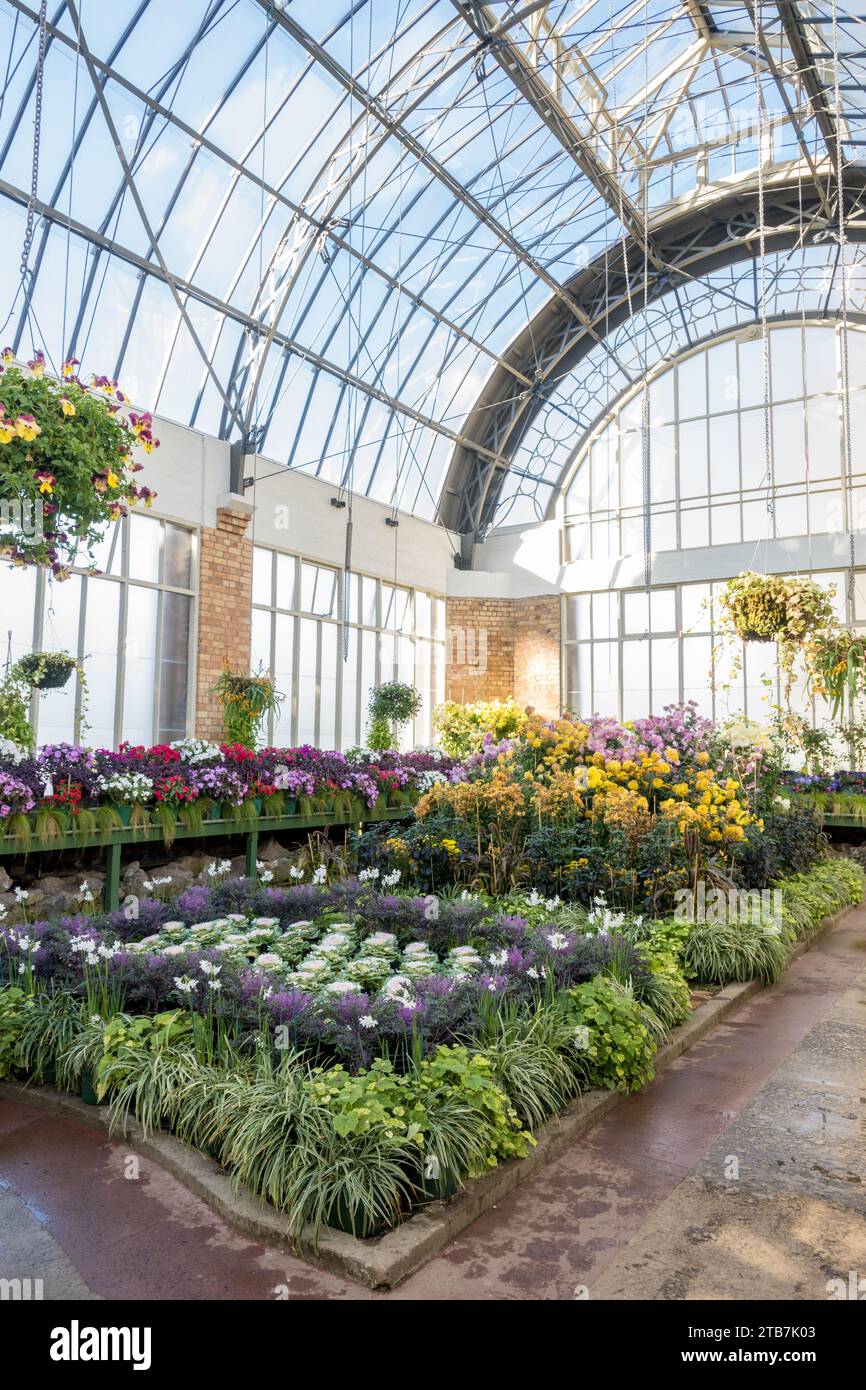 Beautiful day at Auckland Domain Wintergardens, New Zealand Stock Photo ...