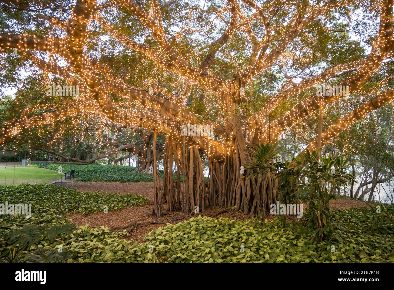 Giant christmas string light hi-res stock photography and images - Alamy
