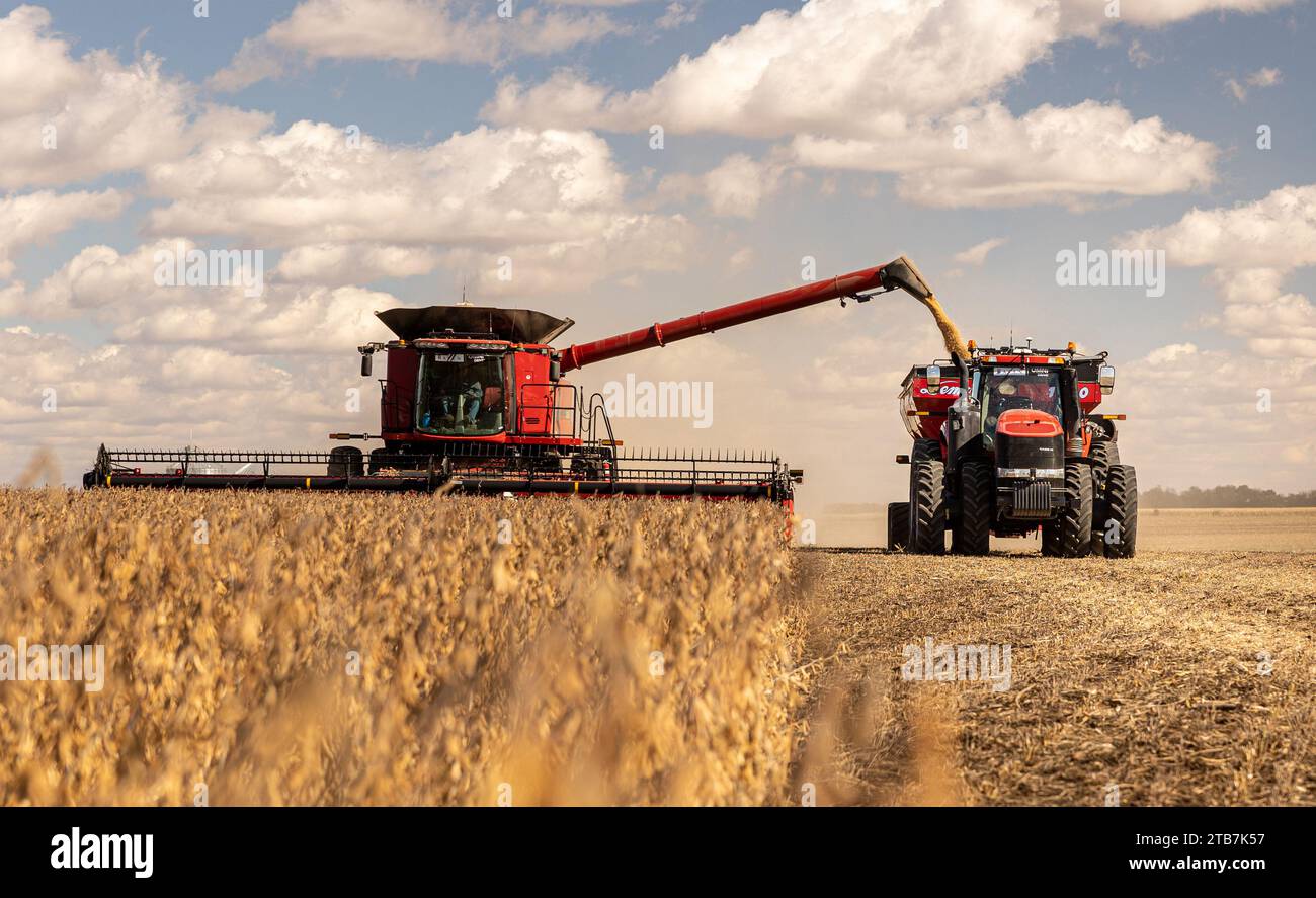 Harvesting a corn field with a Case IH tractor using the Raven ...