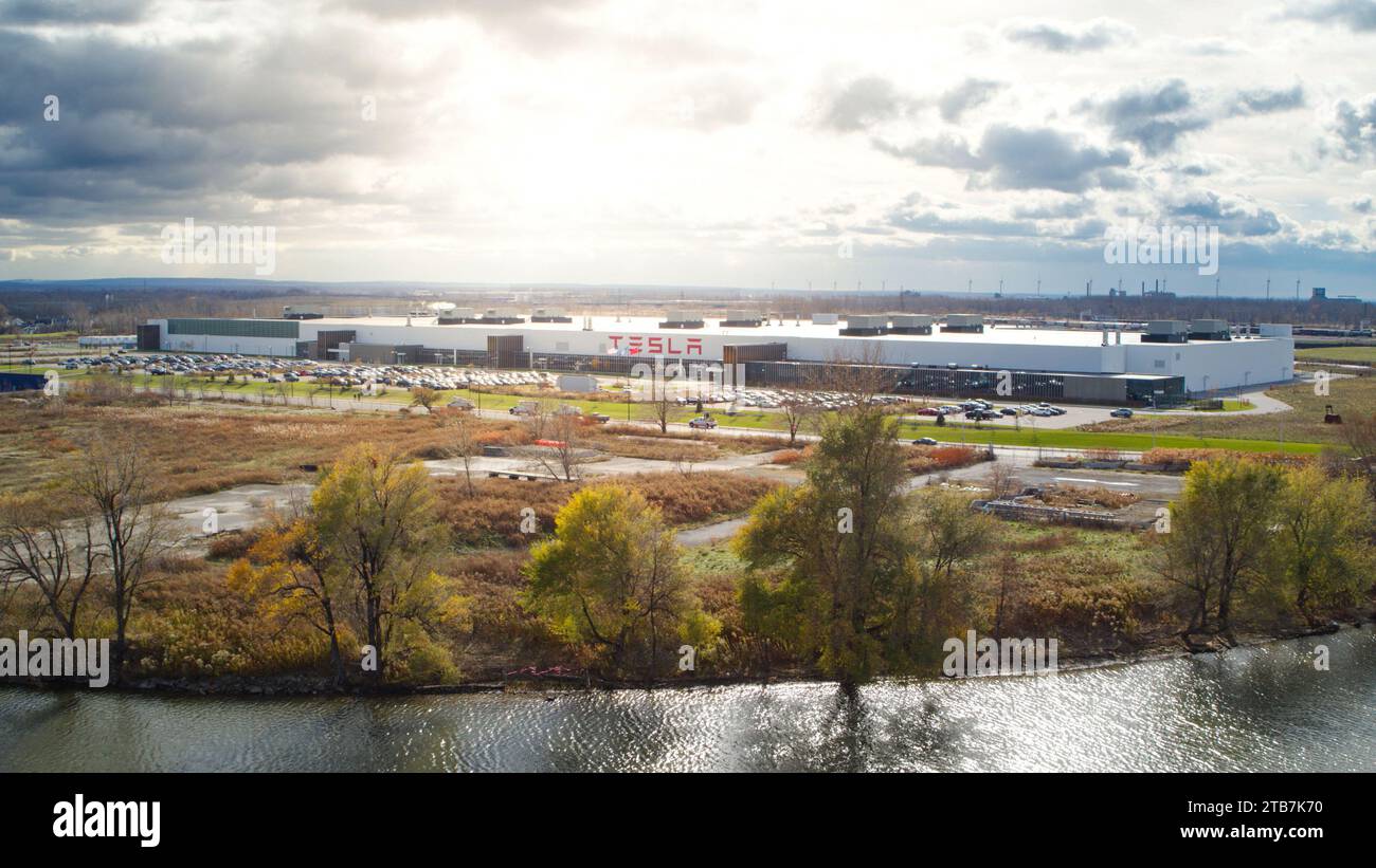 Giga buffalo hi-res stock photography and images - Alamy