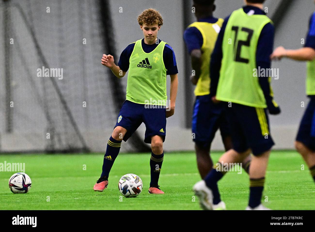 Zlatan ibrahimović sweden national football team hi-res stock ...