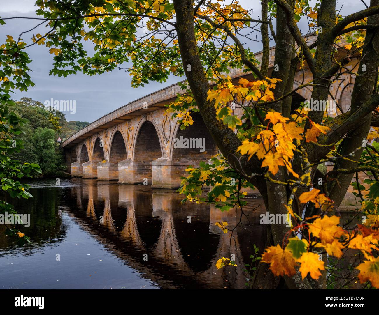 Riverbanks framing hi-res stock photography and images - Alamy