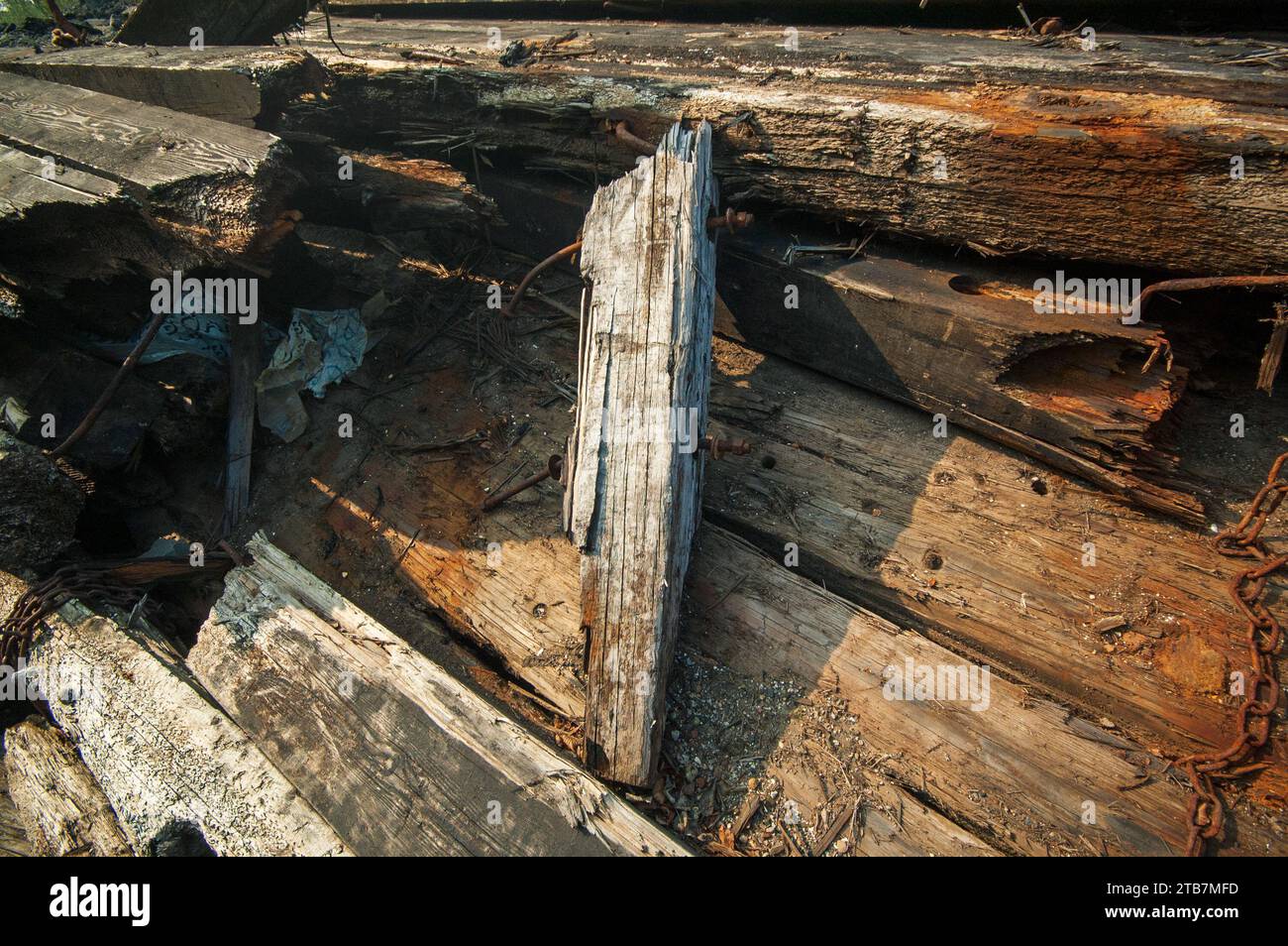 old distressed weathered timber studies Stock Photo - Alamy