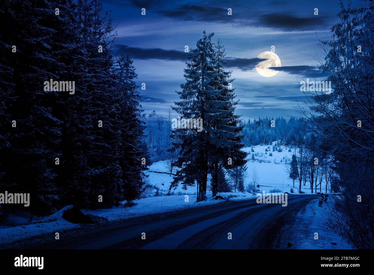 Moonlight through trees hi-res stock photography and images - Alamy