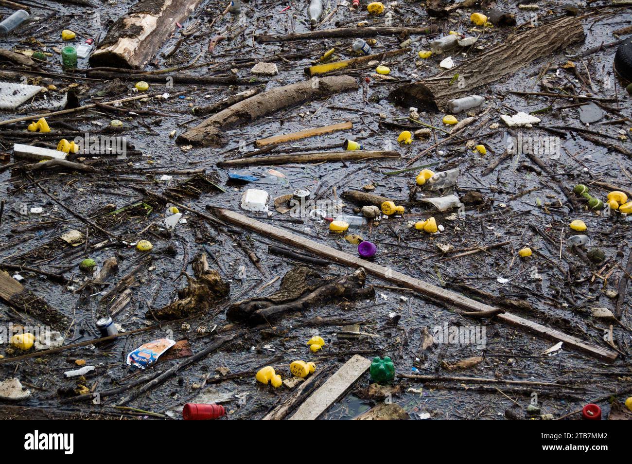 Rubber ducks in toxic water hi-res stock photography and images - Alamy