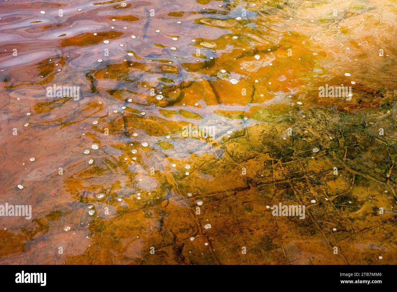 Earthy color scheme hi-res stock photography and images - Alamy
