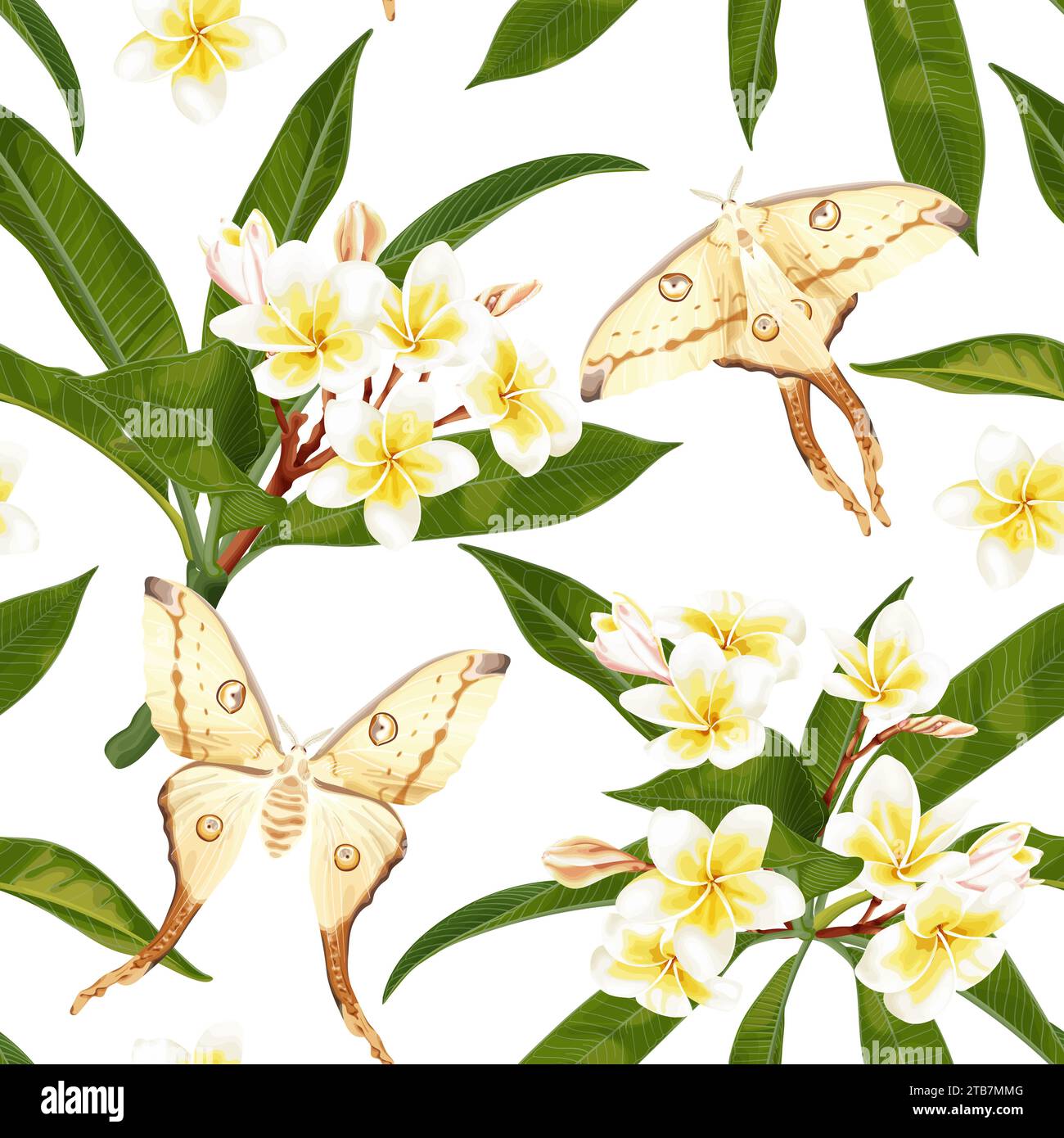 Seamless tropical pattern with plumeria flowers, frangipani and white ...