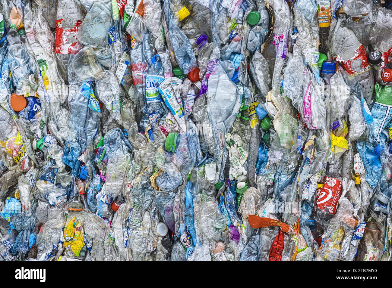 Waste treatment and recovery center. The selective collection sorting workshop. Horizontal ...